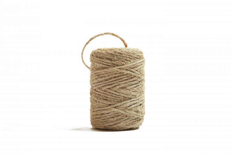 PalmFil - Potential of date palm fiber newly discovered | textile network