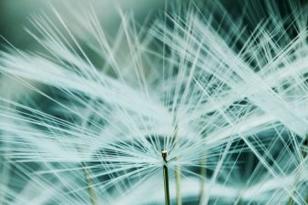 Chemiefasern weiterhin stark nachgefragt | textile network ...