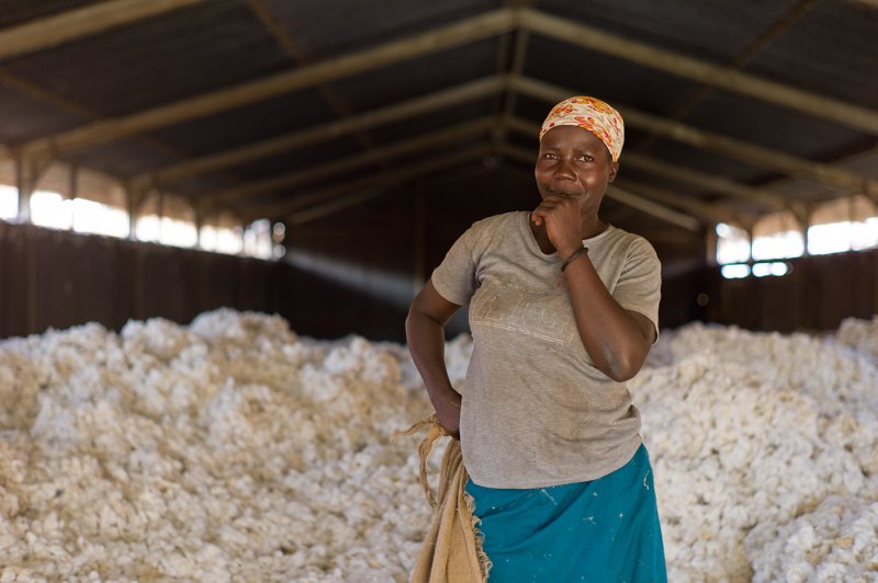 20 years of Cotonea | textile network