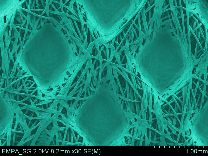 Schutz vor Keimen | textile network | Internationales Magazin für die ...